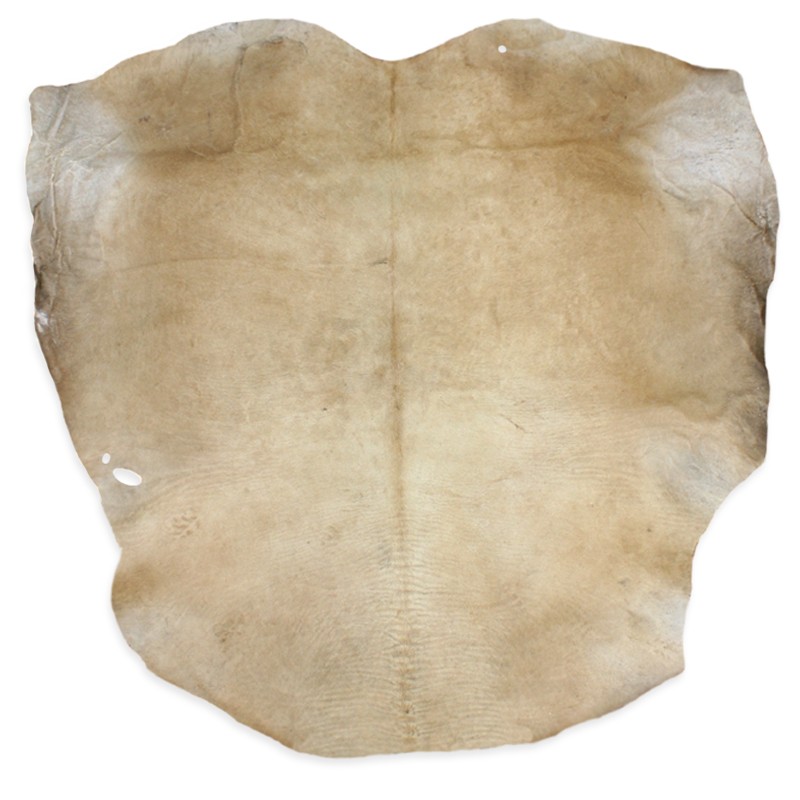 Drumskull Drums Cow Skin for Dunun and Djembe
